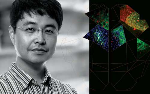 Sung Han was destined for Salk - Inside Salk