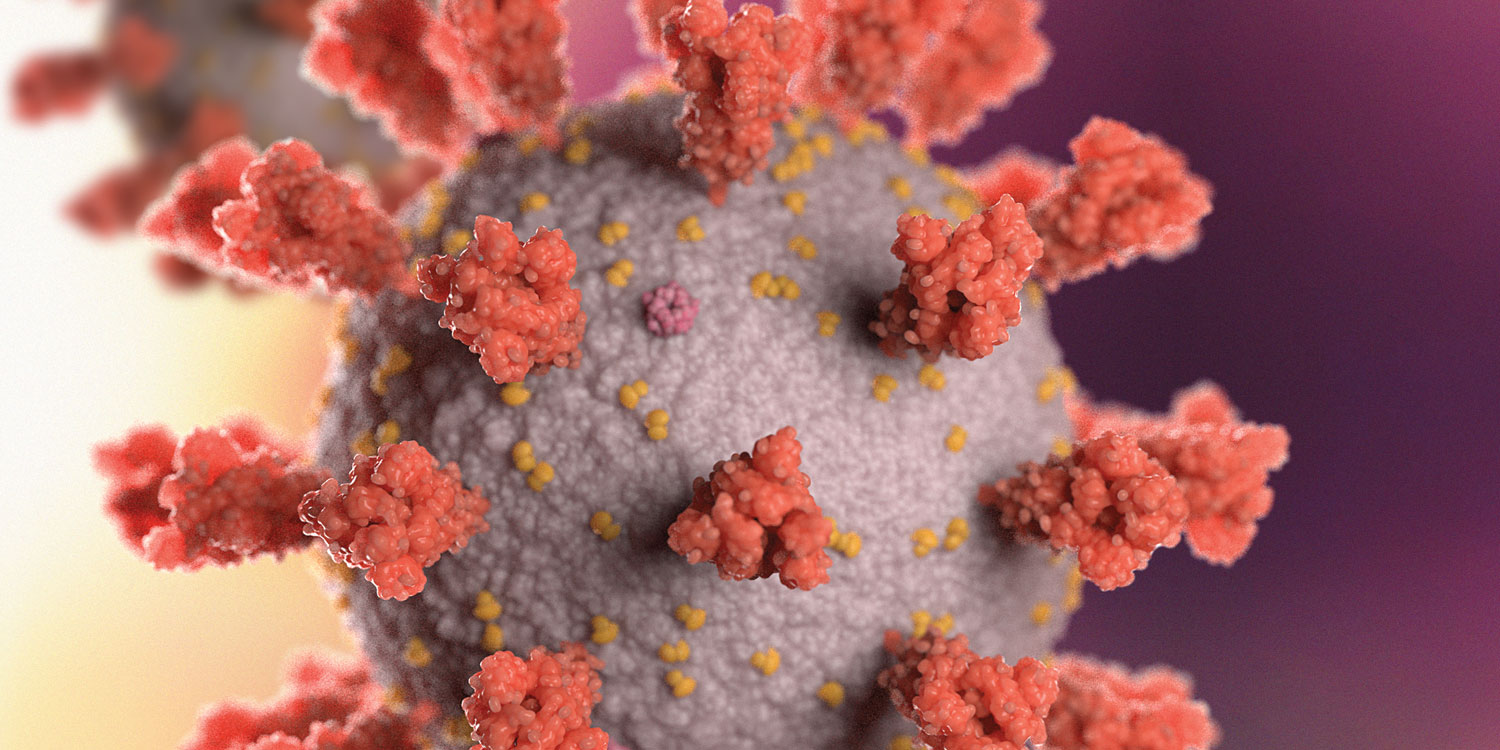 Analysis - Inside Salk