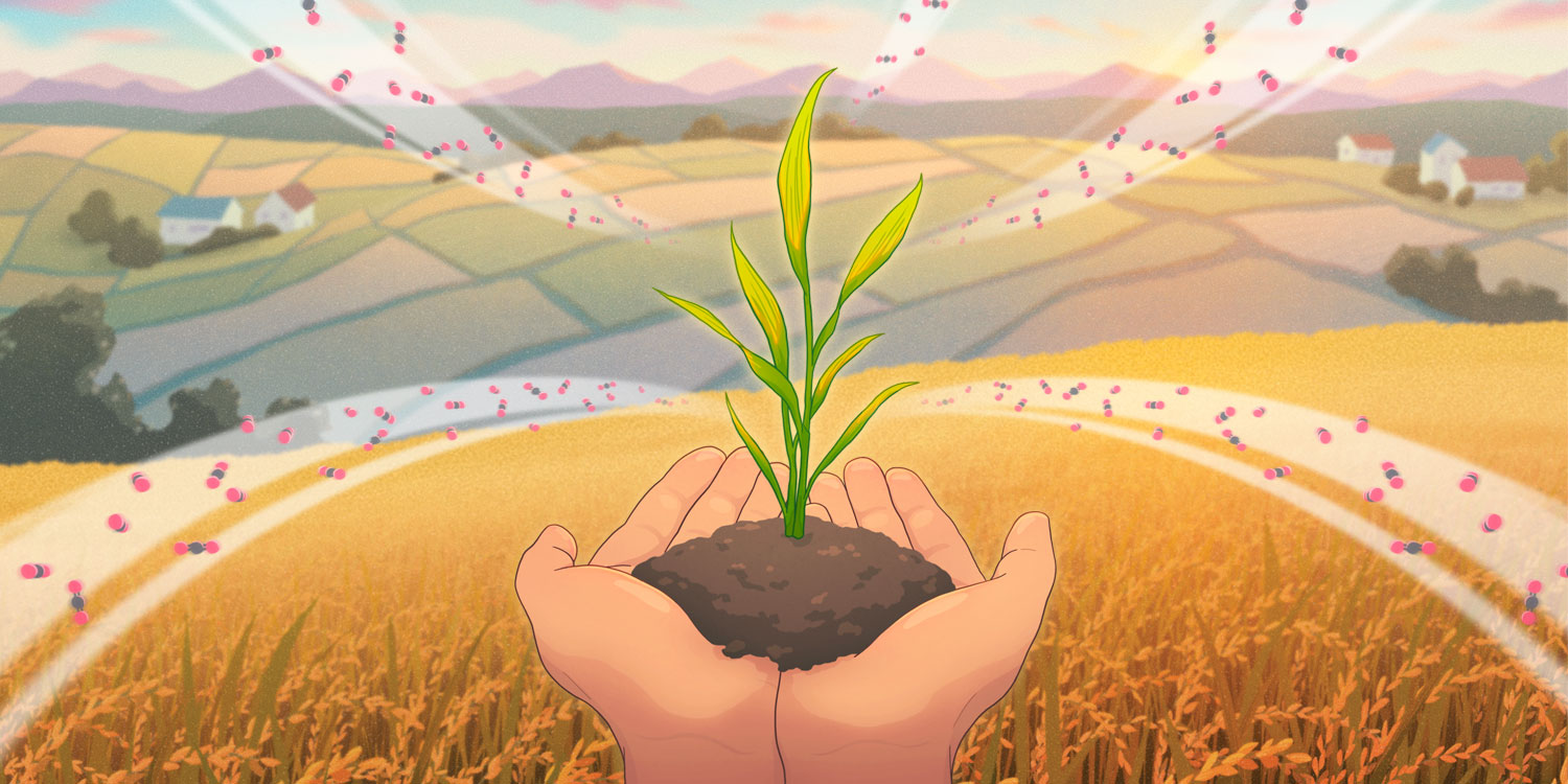 Seeds of change: The Harnessing Plants Initiative is scaling a new kind ...
